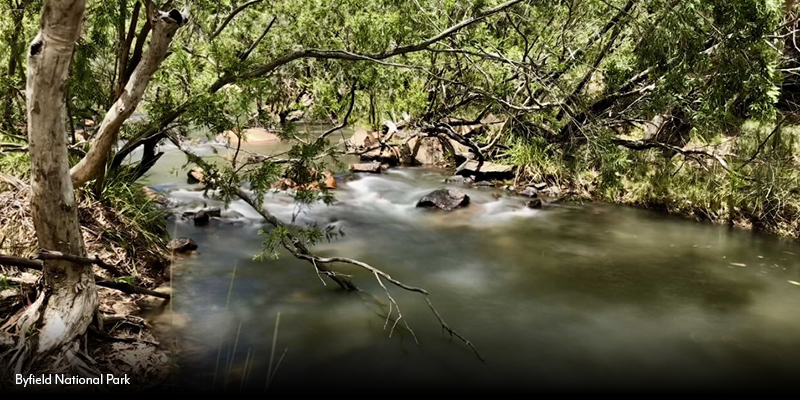 Rockhampton's top swimming spots Explore Rockhampton