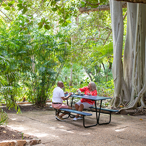 Rockhampton Botanic Gardens Explore Rockhampton