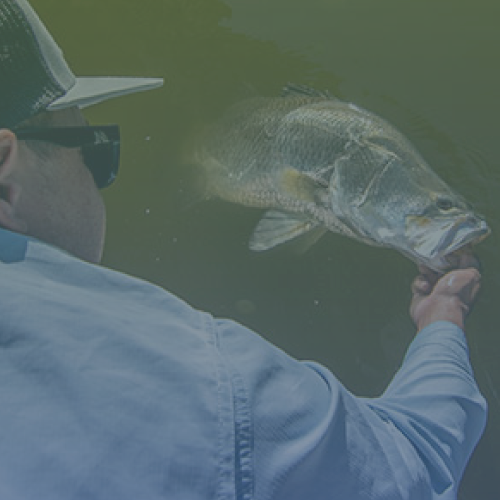 Fishing the Fitzroy Explore Rockhampton