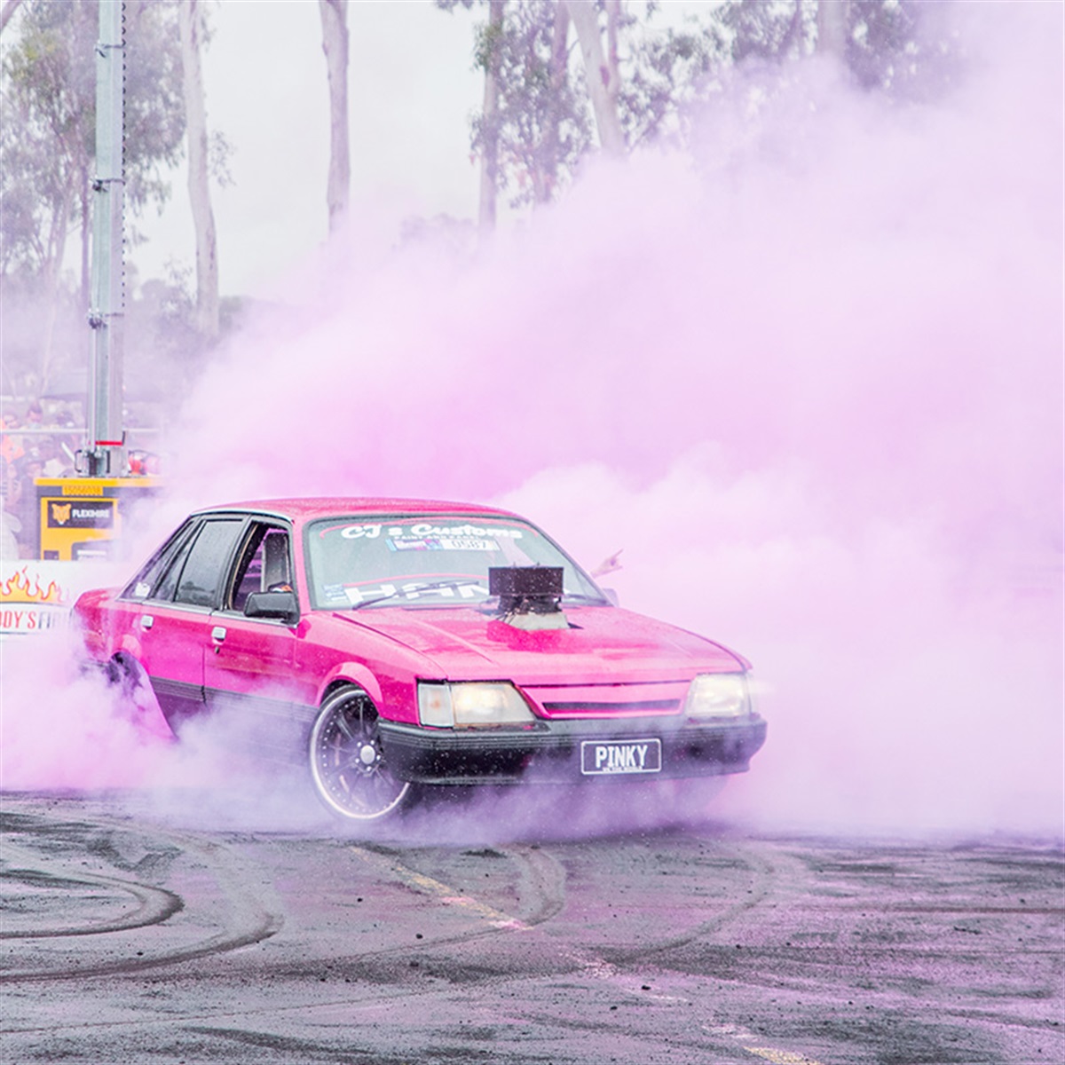 Rare Spares Rockynats 05 Explore Rockhampton