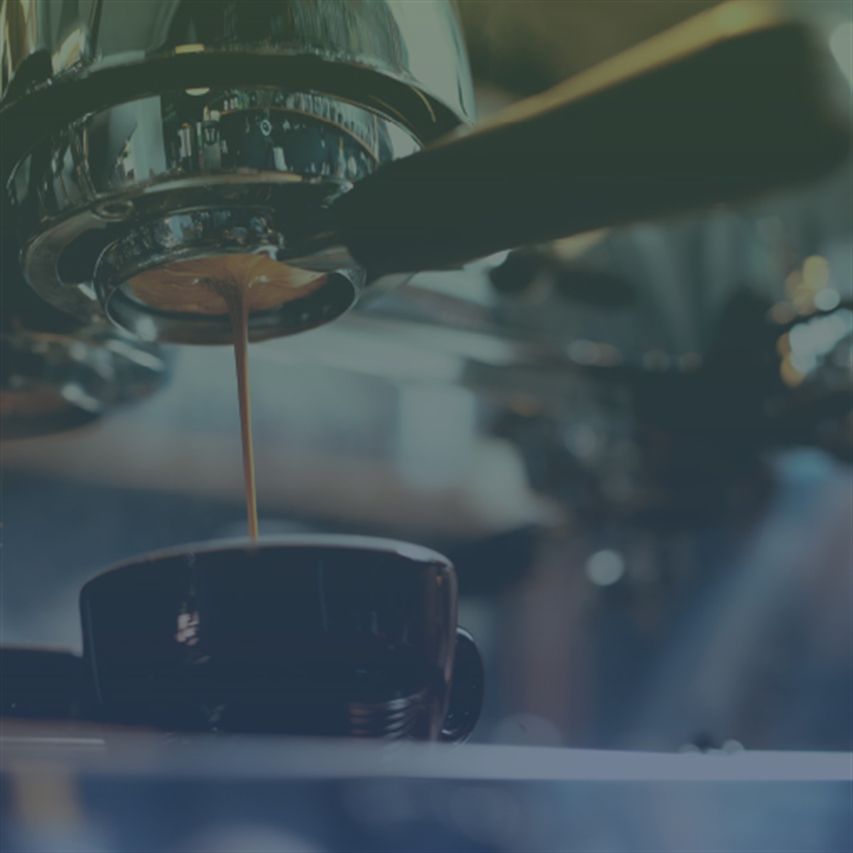 Top spots for coffee in Rockhampton's CBD Explore Rockhampton