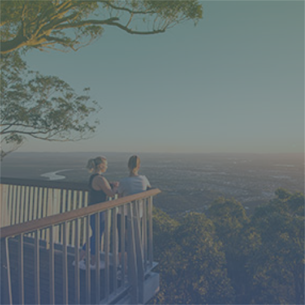 Mount Archer National Park Explore Rockhampton